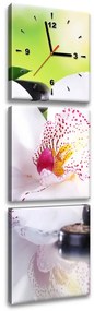 Gario Obraz s hodinami Bílá orchidej a kameny - 3 dílný Rozměry: 30 x 90 cm
