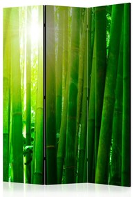 Paraván Sun and bamboo Dekorhome 135x172 cm (3-dílný)
