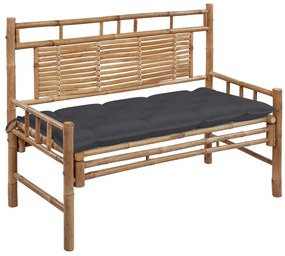 Zahradní lavice s poduškou 120 cm bambus 3063891
