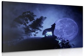 Obraz vlk v úplňku měsíce - 90x60 cm