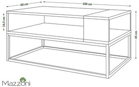 Casarredo Konferenční stolek LYNX 100x60 cm dub artisan/antracit