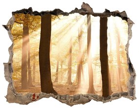 Wallmuralia Díra 3D ve zdi nálepka Podzim les 95x64 cm