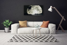 Obraz na plátně Noc Měsíc Palma Krajina 100x50 cm