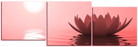 Obraz na plátně - Zen lotus - panoráma 5167CD (120x40 cm)