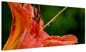 Obrázek květiny (100x40cm)