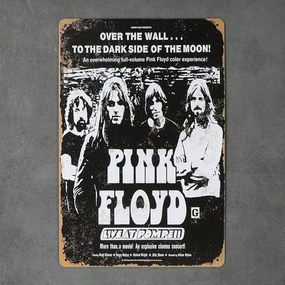 Kovová cedule Pink Floyd 4