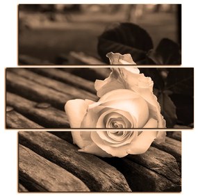 Obraz na plátně - Bílá růže na lavici - čtverec 3224FD (105x105 cm)