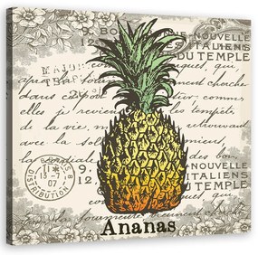 Obraz na plátně, Vintage ananas - 60x60 cm