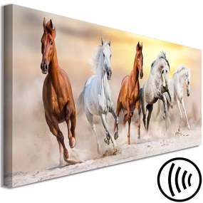 Obraz Příroda koní (1-dílný) - majestátní zvířata v oblaku písku