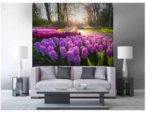 DIMEX | Vliesová fototapeta na zeď Květiny hyacintu MS-3-0068 | 225 x 250 cm | fialová, zelená, vícebarevná