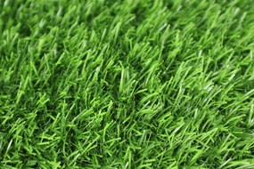 Trade Concept, AKCE: 100x200 cm Metrážový travní koberec Pure Green – na ven i na doma, zelená, exteriér