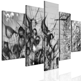 Černobílý obraz kapky rosy Velikost (šířka x výška): 150x70 cm