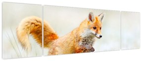 Obraz - Skákající liška (170x50 cm)