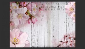 Fototapeta Bimago - Apple Blossoms + lepidlo zdarma 400x280 cm