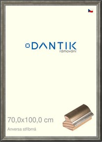 DANTIK rámeček 70x100 | ANIVERSA stříbrná (Plexi Čiré)