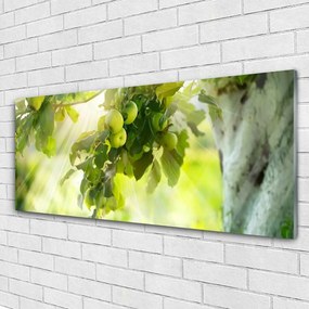 akrylový obraz Jablka Větev Strom Příroda 125x50 cm