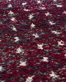 Koberec Royal cherry red/navy 160x230 cm