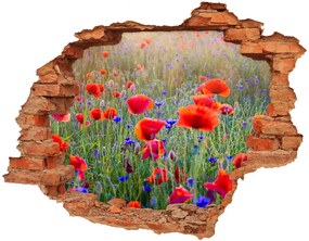 Wallmuralia Samolepící díra na stěnu Polní květiny 90x70 cm