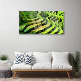 akrylový obraz Pole Rýže Les Umění 100x50 cm