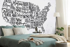 Samolepící tapeta šedá mapa USA s jednotlivými státy - 450x300 cm