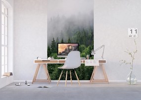 Vliesová fototapeta na zed' Vrcholky Stromů v Mlze | 150 x 270 cm | DFT2P2543