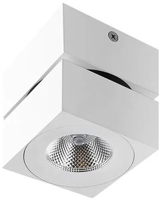 LED bodové světlo Diado bílé