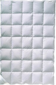 XXXLutz CELOROČNÍ PŘIKRÝVKA, 155/220 cm, kachní prachové peří, kachní peří Billerbeck - Přikrývky - 003279054202