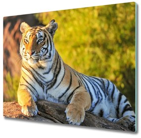 Skleněná krájecí deska Portrét tygra