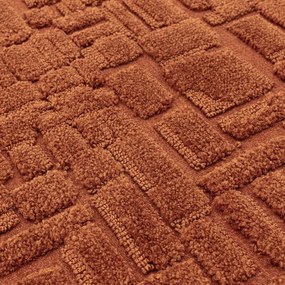 Koberec v terakotové barvě 200x290 cm – Asiatic Carpets