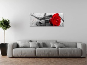Gario Obraz s hodinami Červená růže Rozměry: 40 x 40 cm