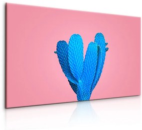 Obraz modrý kaktus Velikost (šířka x výška): 150x100 cm