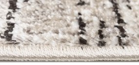 Luxusní kusový koberec Cosina Petty PR0120 - 200x300 cm