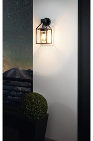 Eglo 97296 - Venkovní nástěnné svítidlo TRECATE 1xE27/60W/230V IP44