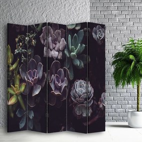 Ozdobný paraván Sukulentní květiny - 180x170 cm, pětidílný, obustranný paraván 360°