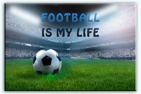 Obraz fotbal je můj život Velikost (šířka x výška): 90x60 cm