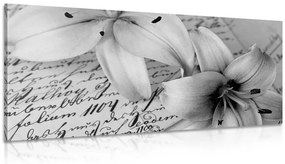 Obraz lilie na starém dokumentu v černobílém provedení