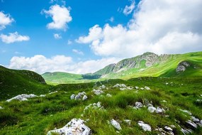 Samolepící fototapeta údolí v Černé Hoře - 300x200 cm