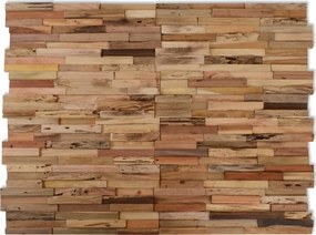 vidaXL Nástěnné obkladové panely 10 ks 1,03 m² masivní teakové dřevo [326170] Barva: Vícebarevný