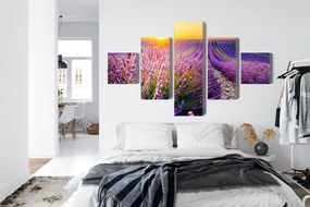 Vícedílný obraz Levandulové Pole Při Západu Slunce 3D Nedostatek Nedostatek Plátno Canvas 200x120