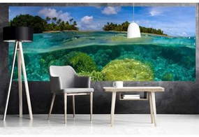 DIMEX | Panoramatická vliesová fototapeta na zeď Korálový útes MP-2-0200  | 375 x 150 cm | modrá, tyrkysová, zelená
