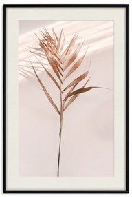 Plakát Exotický Stín - rostlina s hnědými listy na pozadí jednotné stěny