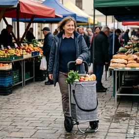 Nákupní taška na kolečkách EASY, 50l, šedá Monzana