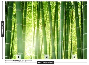 Fototapeta Bambusové lesy 104x70