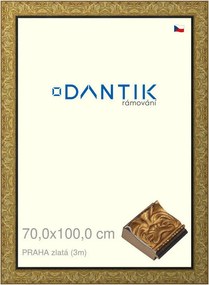 DANTIK rámeček 70x100 | PRAHA zlatá (Plexi Čiré)