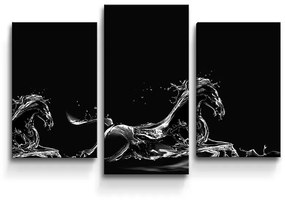 Sablio Obraz - 3-dílný Vodní kůň - 75x50 cm