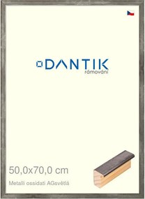 DANTIK rámeček 50x70 | Metalli oidati AGsvětlá (Plexi Čiré)