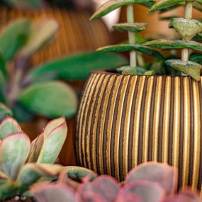 Capi Nature Groove Vase Ball Black Gold Ø 12 cm / V 10 cm