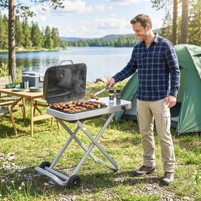 Přenosný plynový gril 1 hořák 2,5 kW grilovací vozík se skládacím vozíkem Grilovací rošt Boční stolek Víko Teploměr