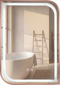Rea Zrcadlo 70x50 cm s vyhříváním a regulovatelným LED osvětlením HOM-00304 růžová zlatá kartáčovaná