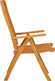 Skládací židle 2 ks, masivní dřevo, eukalyptus 316069